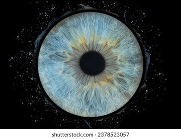 Iris And Pupil Photos And Images Pictures Shutterstock