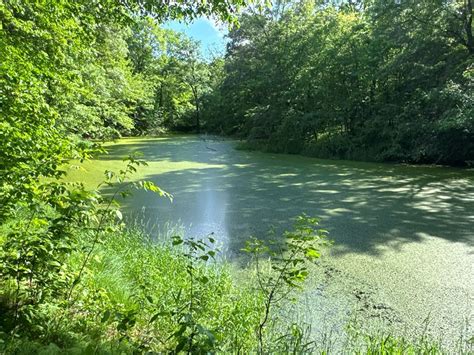 2261 Beede Lake Trail Eureka Wi 54024 Mls 1582721 Edina Realty