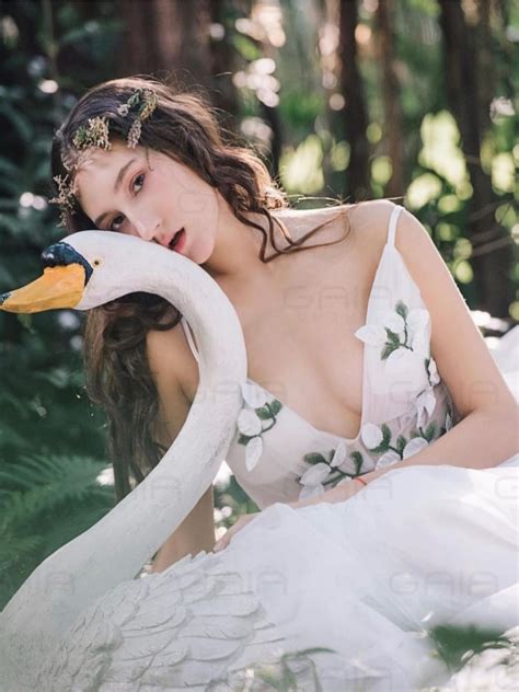 Aleksandra L Gaia Events And Modeling