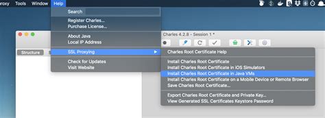 Inspect Presto Connection With Charles