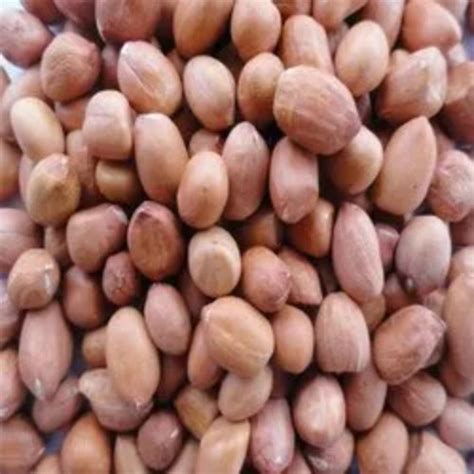 Natural Common Tj Peanut Kernels For Butter Cooking Use Making Oil Feature Fine Taste Non