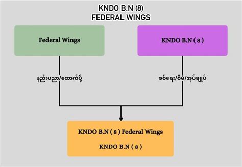 Radio Nug Federal Wings တပ်ဖွဲ့အနေနဲ့ စစ်ရေးနဲ့ နိုင်ငံရေးကိစ္စရပ်တွေမှာ ဝင်ရောက်ခြယ်လှယ်စွက