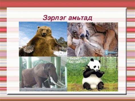 талбай олох томъёо Pdf