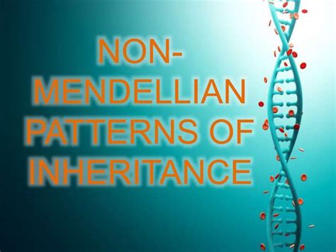Sex Influenced Traits Ppt