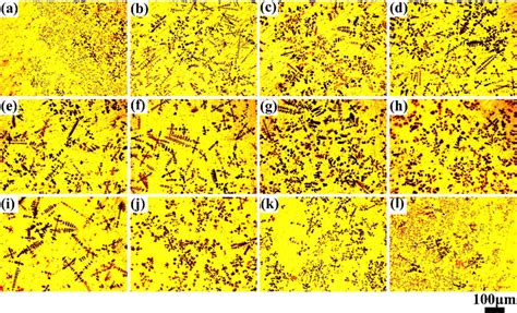 Microstructure In Different Positions Of The W Ingot A 0 0 Cm B Download Scientific