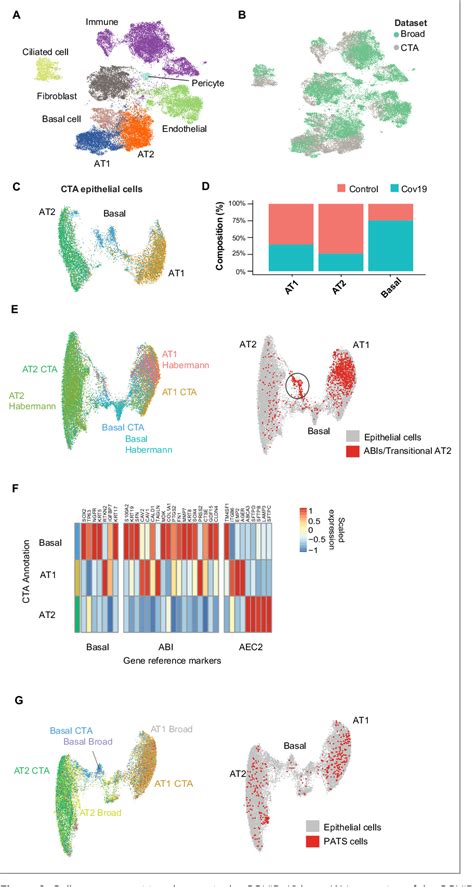 Figure 2 From Single Nuclei Characterization Of Pervasive