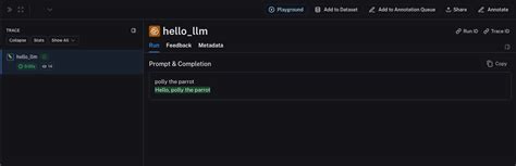 Log Custom Llm Traces 🦜️🛠️ Langsmith