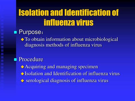 Ppt Experiment Five Powerpoint Presentation Free Download Id3034590