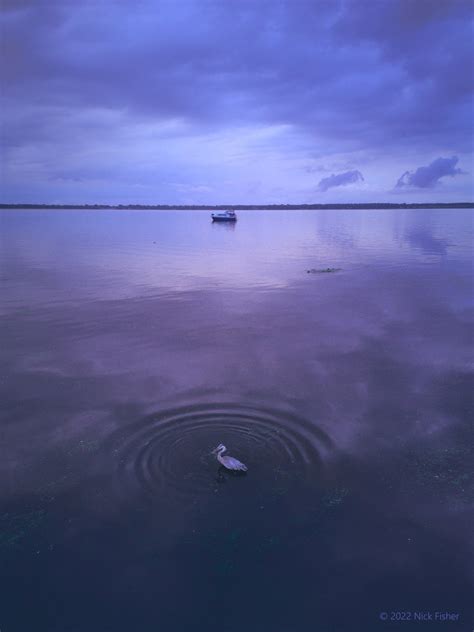 Corporate Governance Model For Using Drones Rdrones