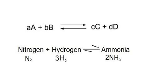 12 7 Notes Equilibrium Chemical Equilibrium Reactions Are