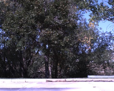 Testing Yolov8 Roboflow Universe