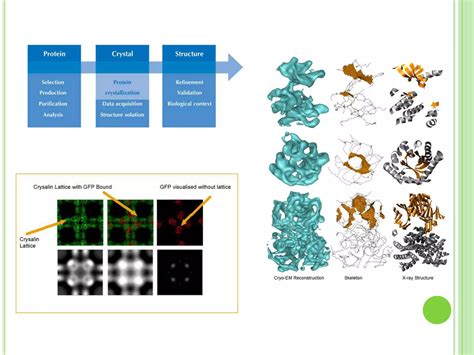 Protein Data Bank Pptx