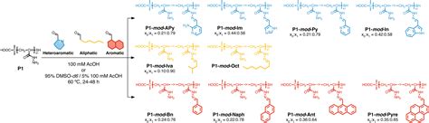 Polymer Induced Biofilms For Enhanced Biocatalysis Materials Horizons