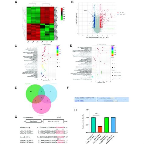 mrna high throughput sequencing and bioinformatics analyses following