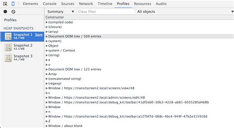 Chrome Dev Tools First Memory Heap Snapshot Is Mysteriously Large