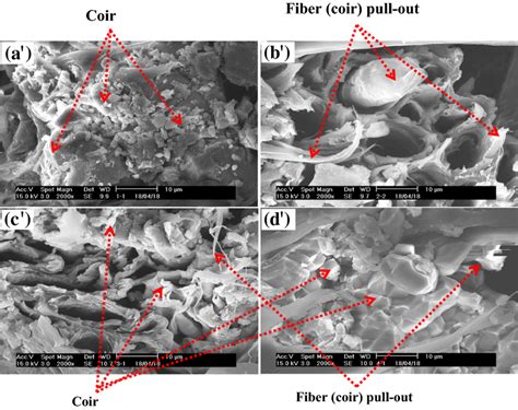 Scanning Electron Micrographs Of Composites A Np Control Sample