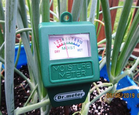 Living Prepared Soil Moisture Amount Measuring Container Gardening