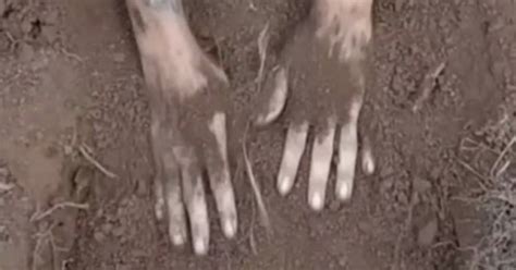 Road Flife On Tumblr