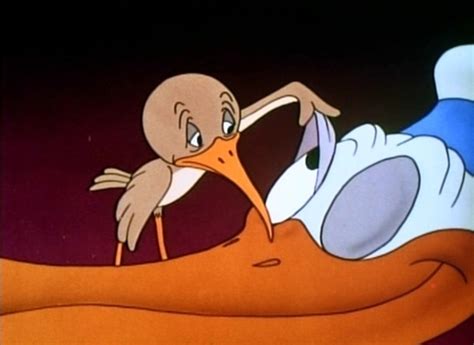 The Pelican And The Snipe Dr Grobs Animation Review