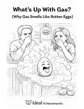 1 5 Whats Up With Gas Why Gas Smells Like Rotten Eggs By Ideal