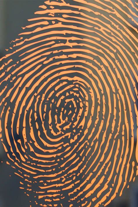 Online Training Introduction To Fingerprint Patterns