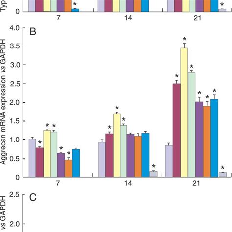Quantitative Analysis Of Type Ii Collagen Aggrecan And Type I Collagen