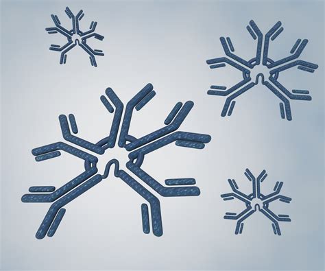 Case Report Hdfn Due To Anti M Alloimmunization Rare Disease Advisor