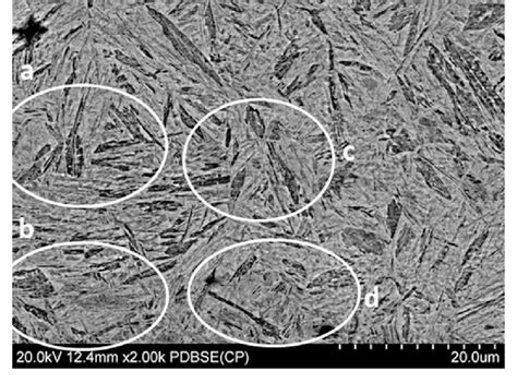 EBSD Investigated Map Area Download Scientific Diagram