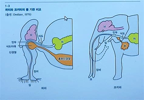 수업후기 제87회목요특강 후기 견주라 그림으로 읽는 뇌과학의 모든것