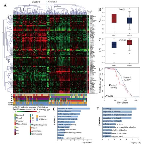 Figure 1 From Autophagy Related Gene Expression Is An Independent Prognostic Indicator Of Glioma