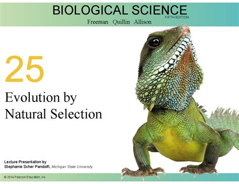 Evolution By Natural Selection Key Concepts From Bio 101 Lecture Freeman Quillin Allison