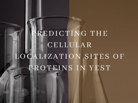 Predicting The Cellular Localization Sites Of Proteins In Yest