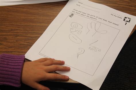 تحضير درس الحواس الخمس للاطفال