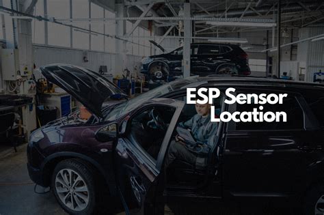 Where Is The Esp Sensor Located In The Garage With