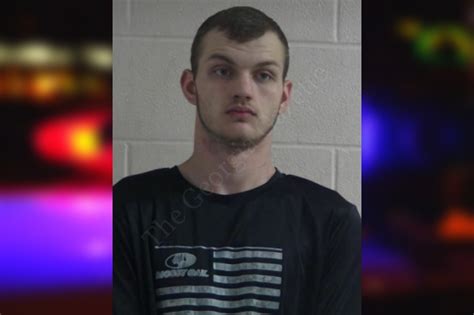 Austin Potts Gilmer County