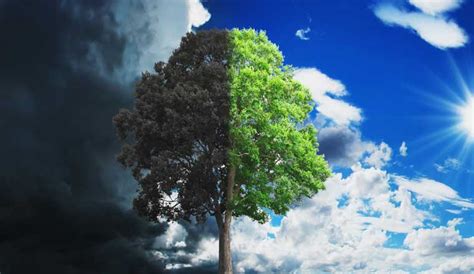 The Top 15 Reassurance Statements For Customer Service