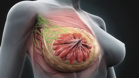 Elevated Prolactin And Hypothyroidism How Prolactin Can Cause Thyroid Issues Dr Hagmeyer