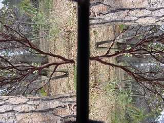 File Open Stereo Image