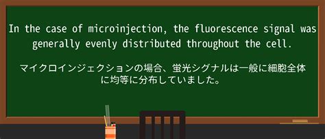 【英単語】fluorescence Signalを徹底解説！意味、使い方、例文、読み方 おもしろい英文法
