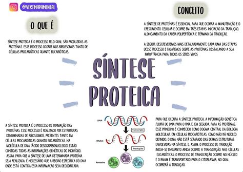 Mapas Mentais Sobre Sintese Proteica Study Maps