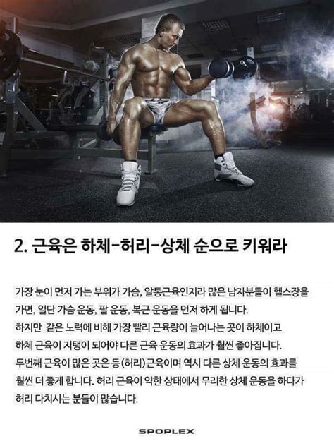 근육운동의 기본 인스티즈 Instiz 이슈 카테고리