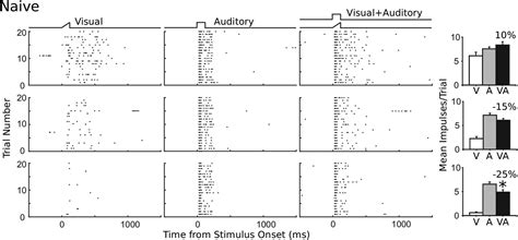 Cross Modal Competition The Default Computation For Multisensory Processing Journal Of
