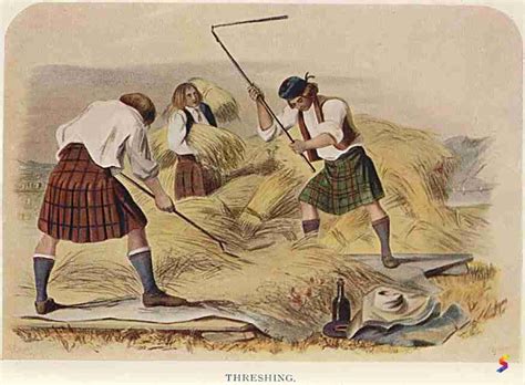 Sábado Maleta Lectura Cuidadosa Thrash Out Meaning Tortuga Erradicar