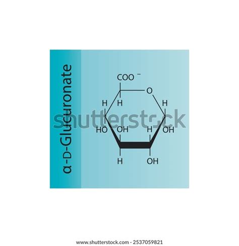 Α D Glucuronate Skeletal Structure Diagramsugar Compound Molecule Stock