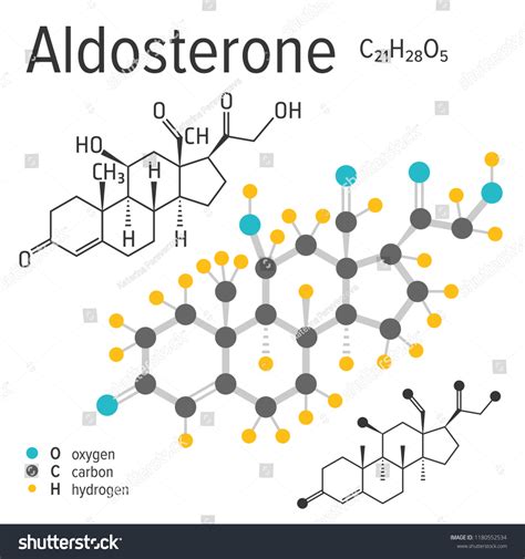 Chemical Formula Structure Model Aldosterone Molecule Stock Vector Royalty Free 1180552534