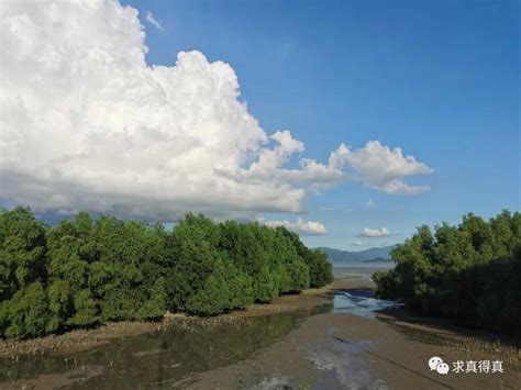 Fusionpbx简介 知乎