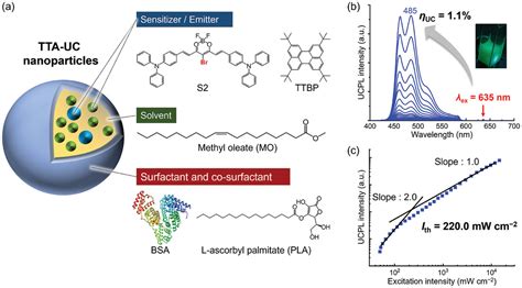 In Vivo Optogenetics Based On Heavy Metal‐free Photon Upconversion Nanoparticles Uji 2024
