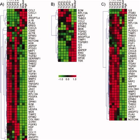 Hierarchical Cluster Analysis Of Gene Expression Data Genes Whose Download Scientific Diagram