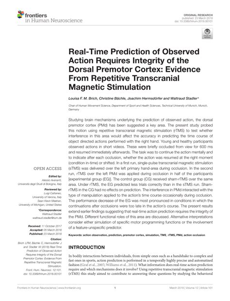 Pdf Real Time Prediction Of Observed Action Requires Integrity Of The