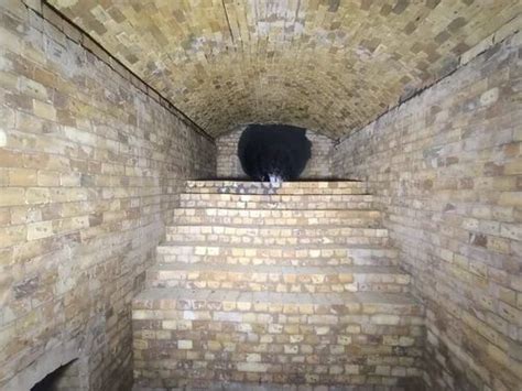 Brick Lining Work In Udaipur Id 12859316912